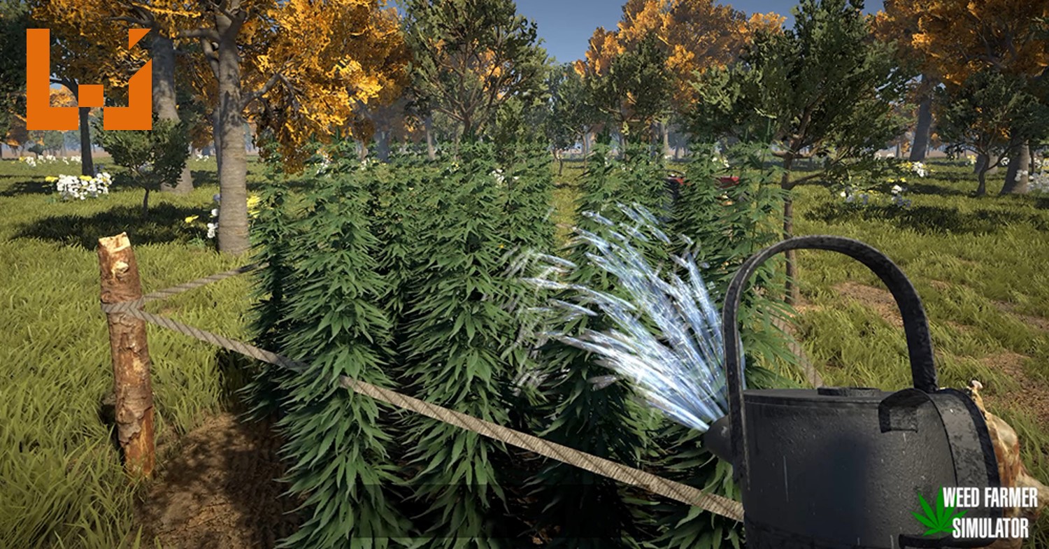 《Weed Farmer Simulator》预定2月登陆Steam平台！日后可能加入多人模式，让你和朋友一起种植大麻！ - Wanuxi